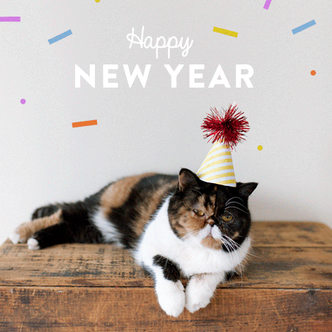 Happy Mew Year! | Kitties & Cream