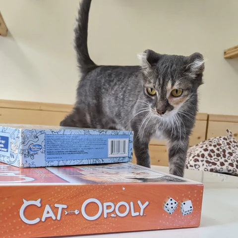 June events | Kitties & Cream