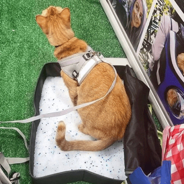 "The Porta-Pawty" Portable Folding Litter Box | Kitties & Cream